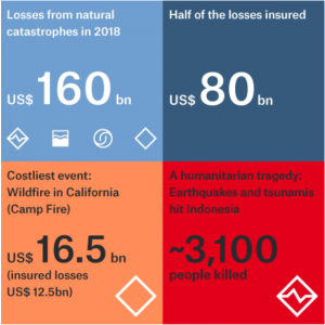 The Biggest Insurance Payouts in History - Mantra Labs